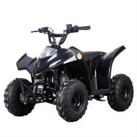 China Aotong Four-wheeler Quadbike 125cc for Adults and Teens Differential Lock Unequipped for sale