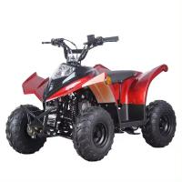 China Aotong Four-wheeler Quadbike 125cc for Adults and Teens Differential Lock Unequipped for sale