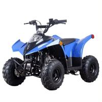 China Aotong Four-wheeler Quadbike 125cc for Adults and Teens Differential Lock Unequipped for sale