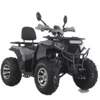 China Aotong GY6 Motor 200CC/250CC Automatic Quad Bike for Adults 10INCH/12INCH Farm ATV for sale