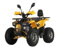 China 110cc Electric Start Mini Quad Four-wheeler for Children Chain Drive Automatic 125cc for sale