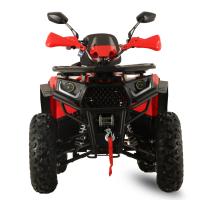 China High Power GY6 200CC/250CC Automatic Quad Bike for Adults 10INCH Farm ATV Off Road for sale