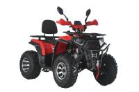 China High Power GY6 200CC/250CC Automatic Quad Bike for Adults 10INCH Farm ATV Off Road for sale