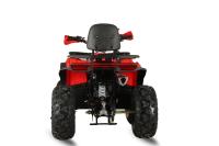 China High Power GY6 200CC/250CC Automatic Quad Bike for Adults 10INCH Farm ATV Off Road for sale