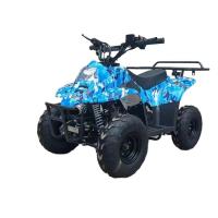 China 70CC/110CC Automatic ATV 4 Stroke Teen Racing Quad 125CC All-Terrain Beach Buggy for sale