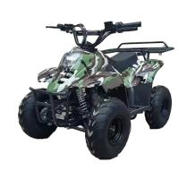 China 125CC All-Terrain Beach Buggy Fuel Gas 70CC/110CC Automatic Quad ATV Buggy for Teens Racing for sale