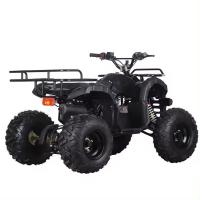 China 125cc 110cc Kids Atv Quad Mini Quad Motor Bike for Children Reverse Budget-friendly for sale