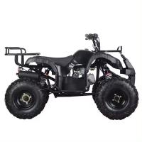 China 125cc 110cc Kids Atv Quad Mini Quad Motor Bike for Children Reverse Budget-friendly for sale