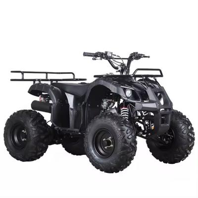 China Chain Drive 110cc/125cc 4 Stroke All-Terrain Four-Wheel Beach Buggy Gasoline Quadbike for sale