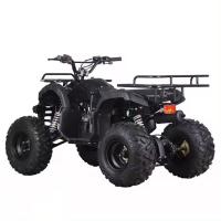 China Chain Drive 110cc/125cc 4 Stroke All-Terrain Four-Wheel Beach Buggy Gasoline Quadbike for sale