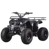 China 110cc 125cc ATV with Automatic Chain Drive Aotong's Compact Design Chinese Product for sale