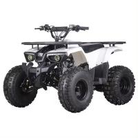China 110cc-150cc Engine Racing ATV Kids Quadbike for Farm Maximum Torque ≤20Nm for sale