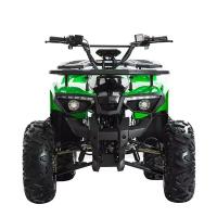 China 110cc-150cc Engine Racing ATV Kids Quadbike for Farm Maximum Torque ≤20Nm for sale