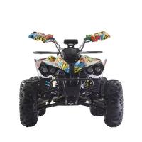 China 1000W 1200W 1500W Electric Shaft Drive Quad Bike ATV with Front and Rear Disc Brakes for sale