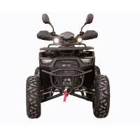 China Direct Supply Buggy Quad ATV 2x4 200CC GY6 Engine and 1 Cylinder Number for Off-Road for sale