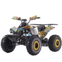 China 60V Voltage Electric ATV Quad for Adults 1000W/1500W 4 Wheel Recreation Utility ATVs for sale