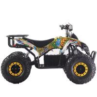 China 60V Voltage Electric ATV Quad for Adults 1000W/1500W 4 Wheel Recreation Utility ATVs for sale