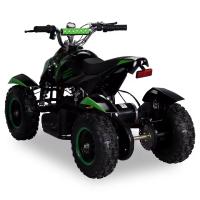 China Widely Used Aotong 500-800W Electric ATV Kids Cross Buggy Kart with High Grade Ability for sale