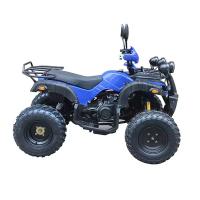 China 12V Voltage Adults Quads Petrol 150cc Four-wheeled Quadricycle with Brushless Motor for sale