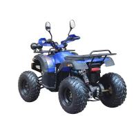 China 12V Voltage Adults Quads Petrol 150cc Four-wheeled Quadricycle with Brushless Motor for sale