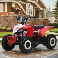 China 36V Kids Quad Electric 1000w Atv 125cc 6inch Automatic Quad Motorcycle for Children 2WD for sale