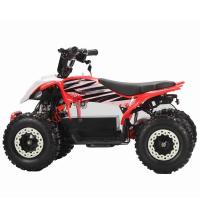 China 36V Kids Quad Electric 1000w Atv 125cc 6inch Automatic Quad Motorcycle for Children 2WD for sale