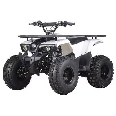 China 125cc Engine Quadbike ATV Motorcycle Engine 125cc for Differential Lock Unequipped for sale
