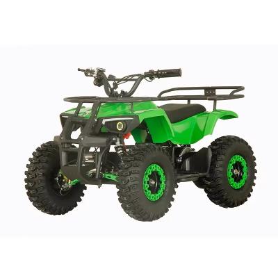 China Street Legal 1200W ATV Four Wheels Quad Bike with 2WD and 30-50km Driving Mileage for sale