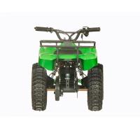 China Electric Quadricycle Aotong 1000w48V20Ah with 2WD Driving Type and 5-7h Charge Time for sale
