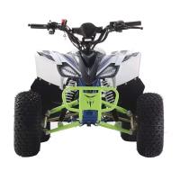 China 2024 Farm ATV 110cc ATV Gas 125cc Quad Bikes with Automatic Chain Drive Grade Ability ≥25° for sale