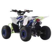 China 2024 Farm ATV 110cc ATV Gas 125cc Quad Bikes with Automatic Chain Drive Grade Ability ≥25° for sale