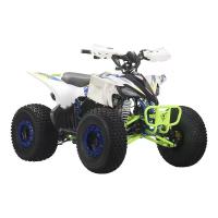 China 2024 Farm ATV 110cc ATV Gas 125cc Quad Bikes with Automatic Chain Drive Grade Ability ≥25° for sale