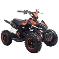 China Kids 4 Wheel Gasoline Bike Mini ATV with Automatic Transmission ≤10L Fuel Tank Capacity for sale