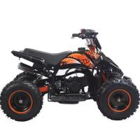 China Kids 4 Wheel Gasoline Bike Mini ATV with Automatic Transmission ≤10L Fuel Tank Capacity for sale