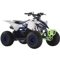 China Cuatrimoto ATV Automatic 125cc Quad Bike Gas / Diesel with Customzied Supported Colors for sale