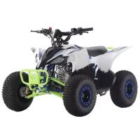 China Cuatrimoto ATV Automatic 125cc Quad Bike Gas / Diesel with Customzied Supported Colors for sale
