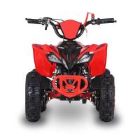China Driving Type 2WD 2024 49cc 50cc 2 Stroke Mini Quad bike gas powered ATV For Kids with CE for sale