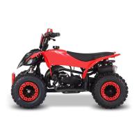 China Driving Type 2WD 2024 49cc 50cc 2 Stroke Mini Quad bike gas powered ATV For Kids with CE for sale
