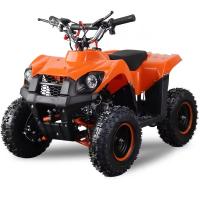 China 1000W 2024 Two Stroke 49cc Kids Gas Dirt Bike Mini Citycoco Scooter Motorcycle ATV Pocket Bike for sale