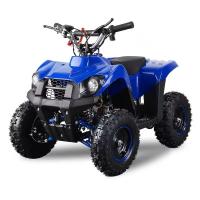 China 1000W 2024 Two Stroke 49cc Kids Gas Dirt Bike Mini Citycoco Scooter Motorcycle ATV Pocket Bike for sale