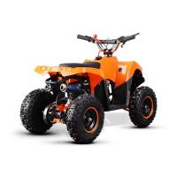 China 1000W 2024 Two Stroke 49cc Kids Gas Dirt Bike Mini Citycoco Scooter Motorcycle ATV Pocket Bike for sale