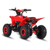 China 1050*650*590MM 2-Stroke ATV Pull Start Motor for Fuel Diesel Mini Moto Quad Pit Bike for sale