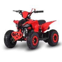 China 1050*650*590MM 2-Stroke ATV Pull Start Motor for Fuel Diesel Mini Moto Quad Pit Bike for sale