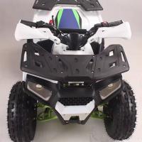 China 110cc 125CC Quad Bike 4 Wheeler Adventure ATV 4x2 Driving for Adults Easy to Maneuver for sale