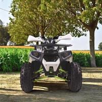 China 125cc Gas Powered Utility ATV Quad Bike with Minimum Grand Clearance of 100-150mm for sale