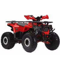 China Teenagers' 110cc/125cc Quad Bike 4 Wheelers 8-inch Tyres and Curb Weight of 100-200kg for sale