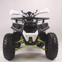 China Teenagers' 110cc/125cc Quad Bike 4 Wheelers 8-inch Tyres and Curb Weight of 100-200kg for sale
