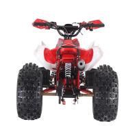 China 110CC/125CC 4-Stroke Scooter Gas Quad ATV in with and Unequipped Differential Lock for sale