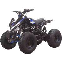 China 110CC/125CC 4-Stroke Scooter Gas Quad ATV in with and Unequipped Differential Lock for sale