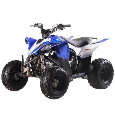 China Chain Drive Gas Powered 125cc Quadricycle ATV with Automatic CVT and Fuel System for sale